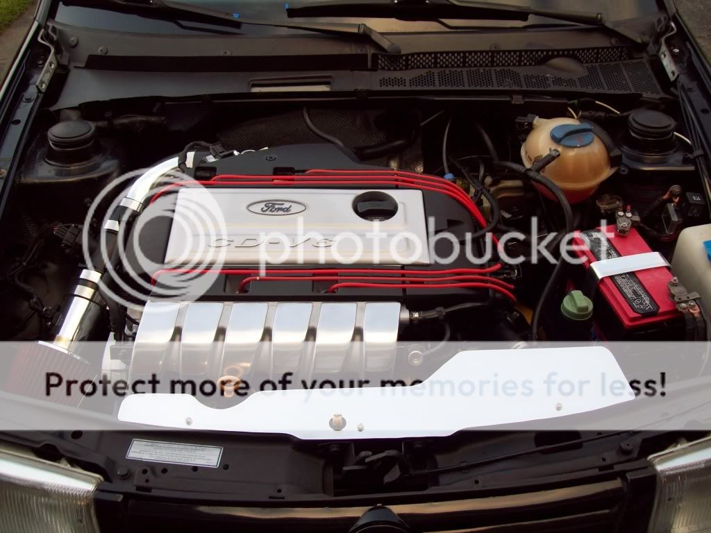 VWVortex.com - ford vr6